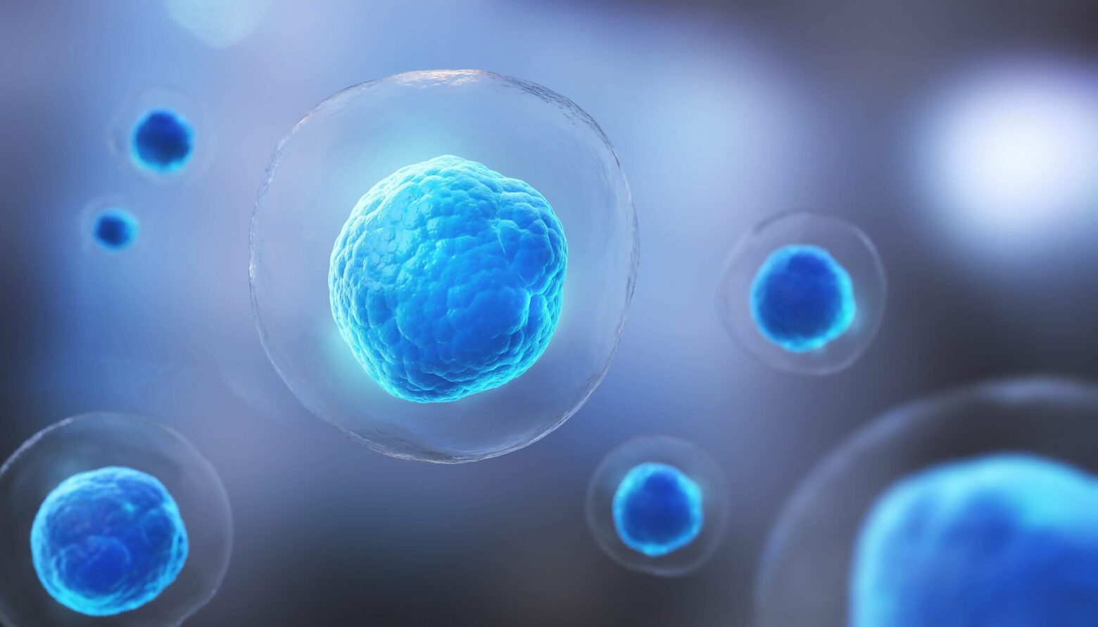 Cellular Rejuvenation and Healing: Stem Cell Therapies 2024